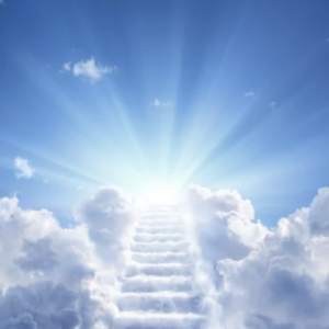 Contact – Good Heaven